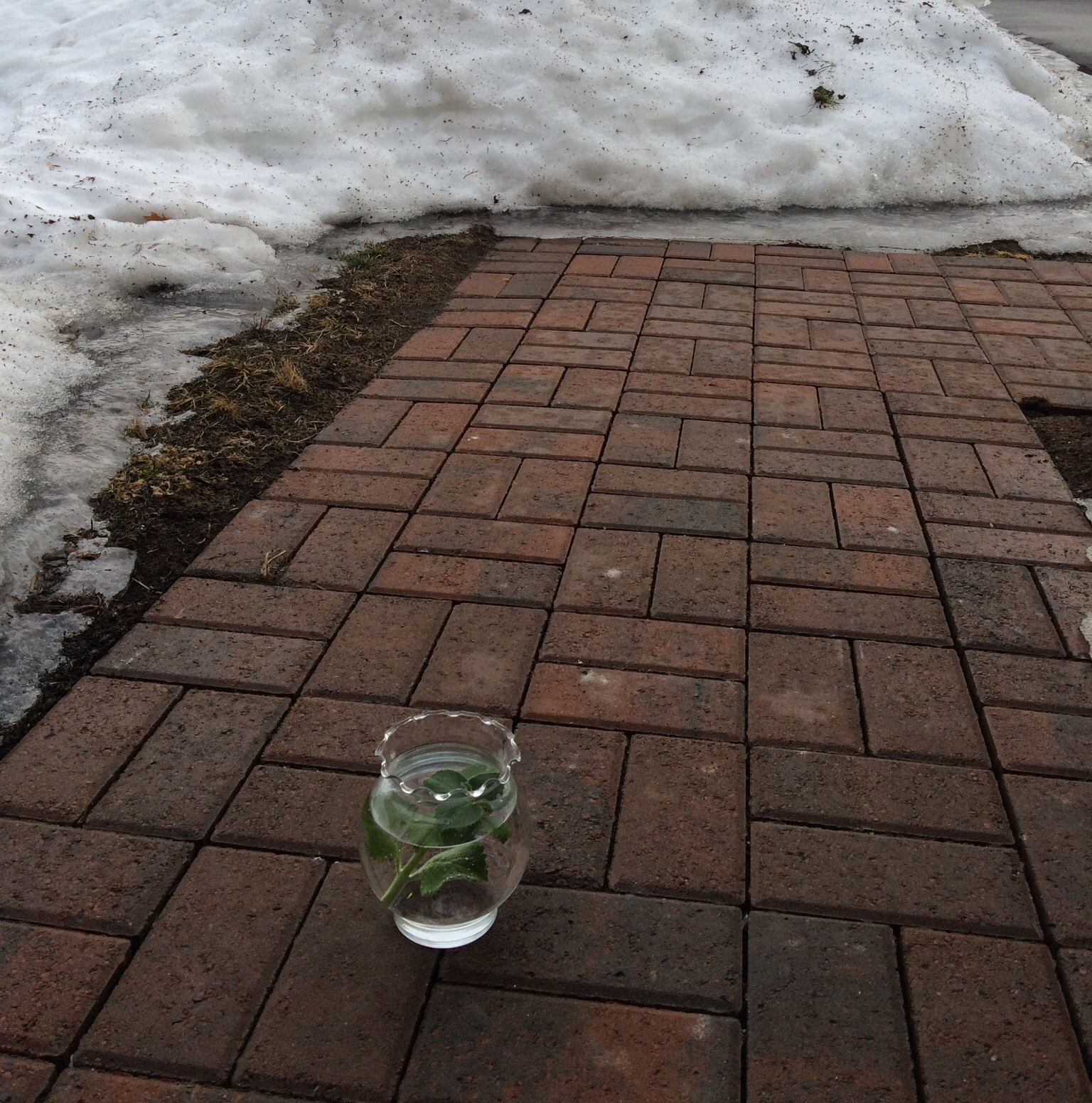 Water – Symbol of Life – normabobb